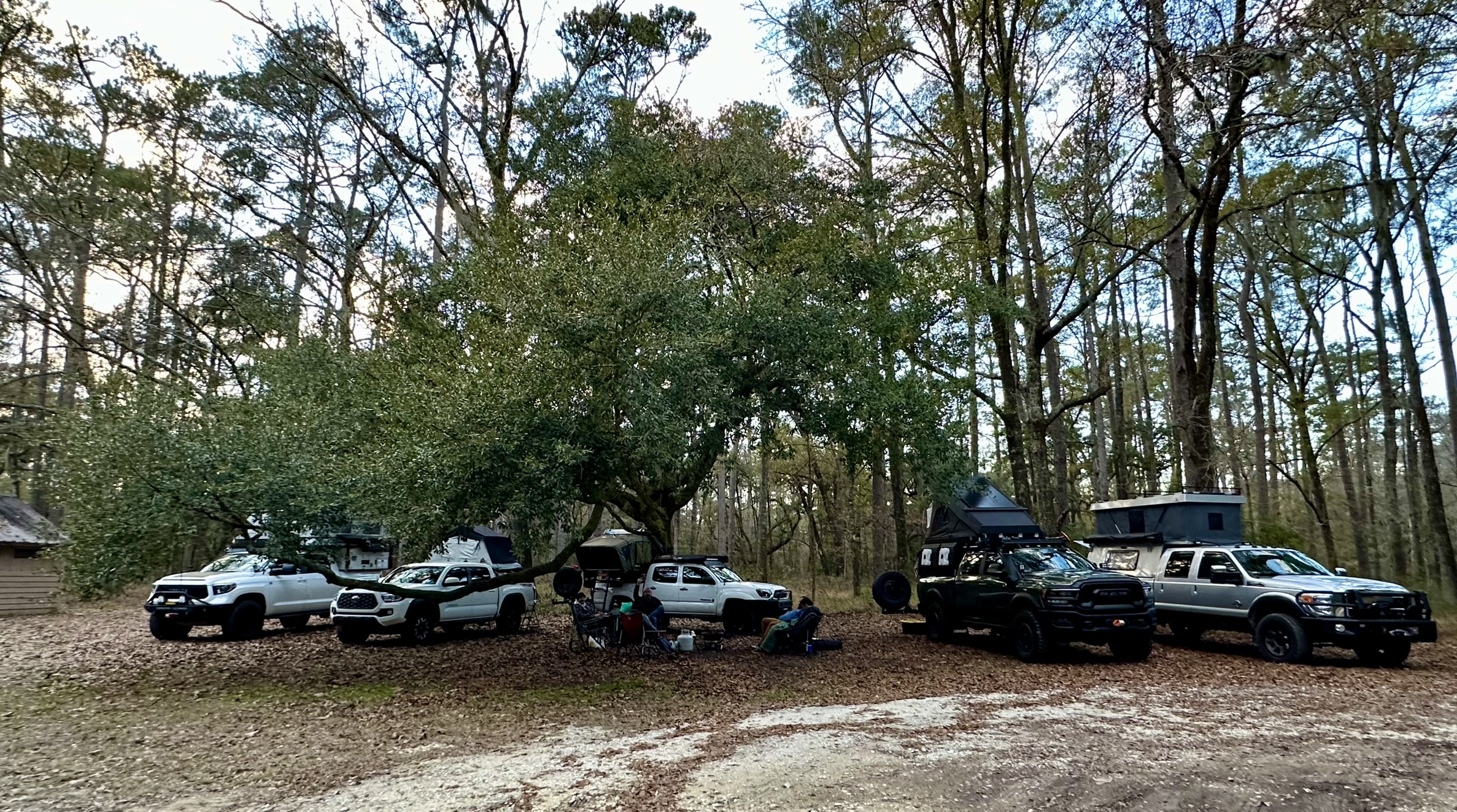 NYE Camping at Elmwood Hunt Camp: A Convenient Haven in Francis Marion ...